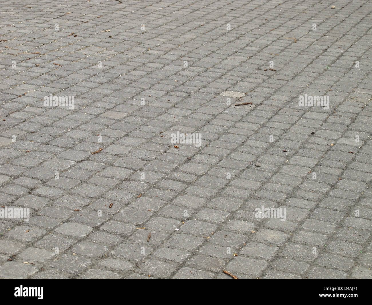 Sanpietrino is the element composing this traditional roman paved road ...