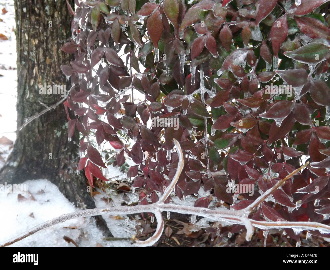Nature during winter Stock Photo - Alamy