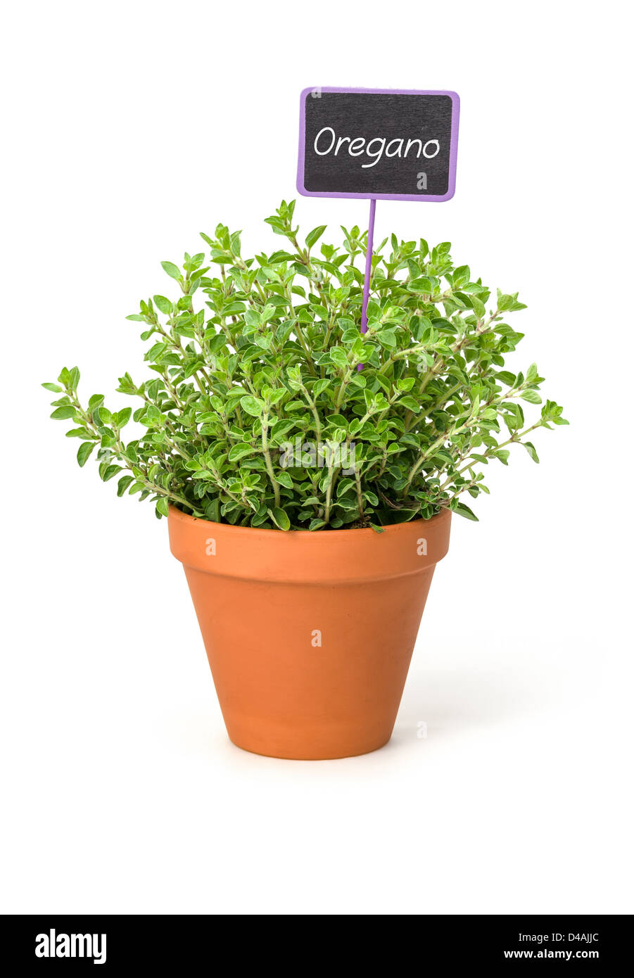 Pot plant label Cut Out Stock Images & Pictures - Alamy