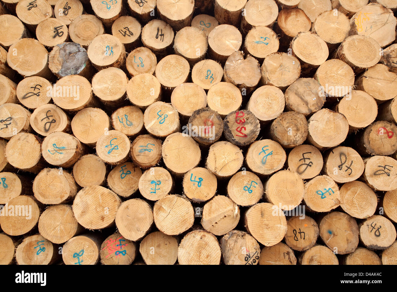 Timber producers hi-res stock photography and images - Alamy