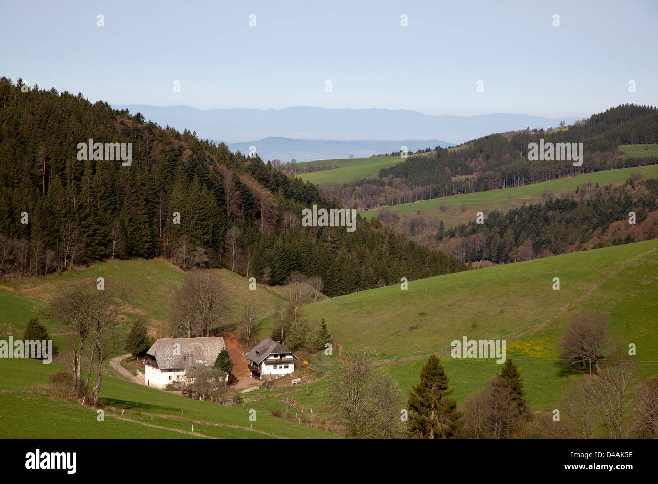 St. Peter, Germany, path with trees in spring Stock Photo - Alamy