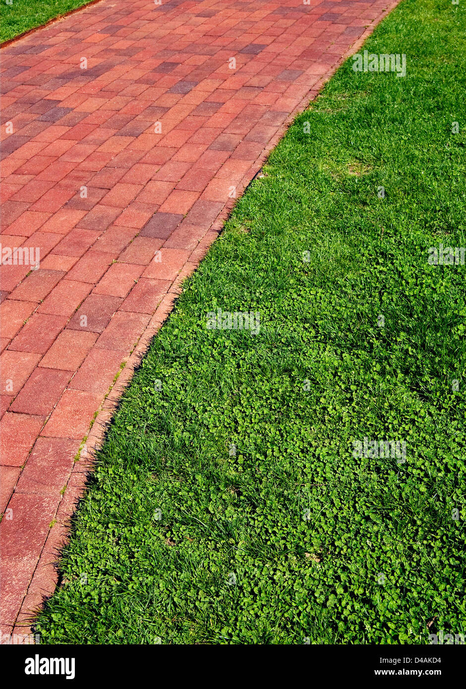 Muhlenbergia Rigens Brick Path