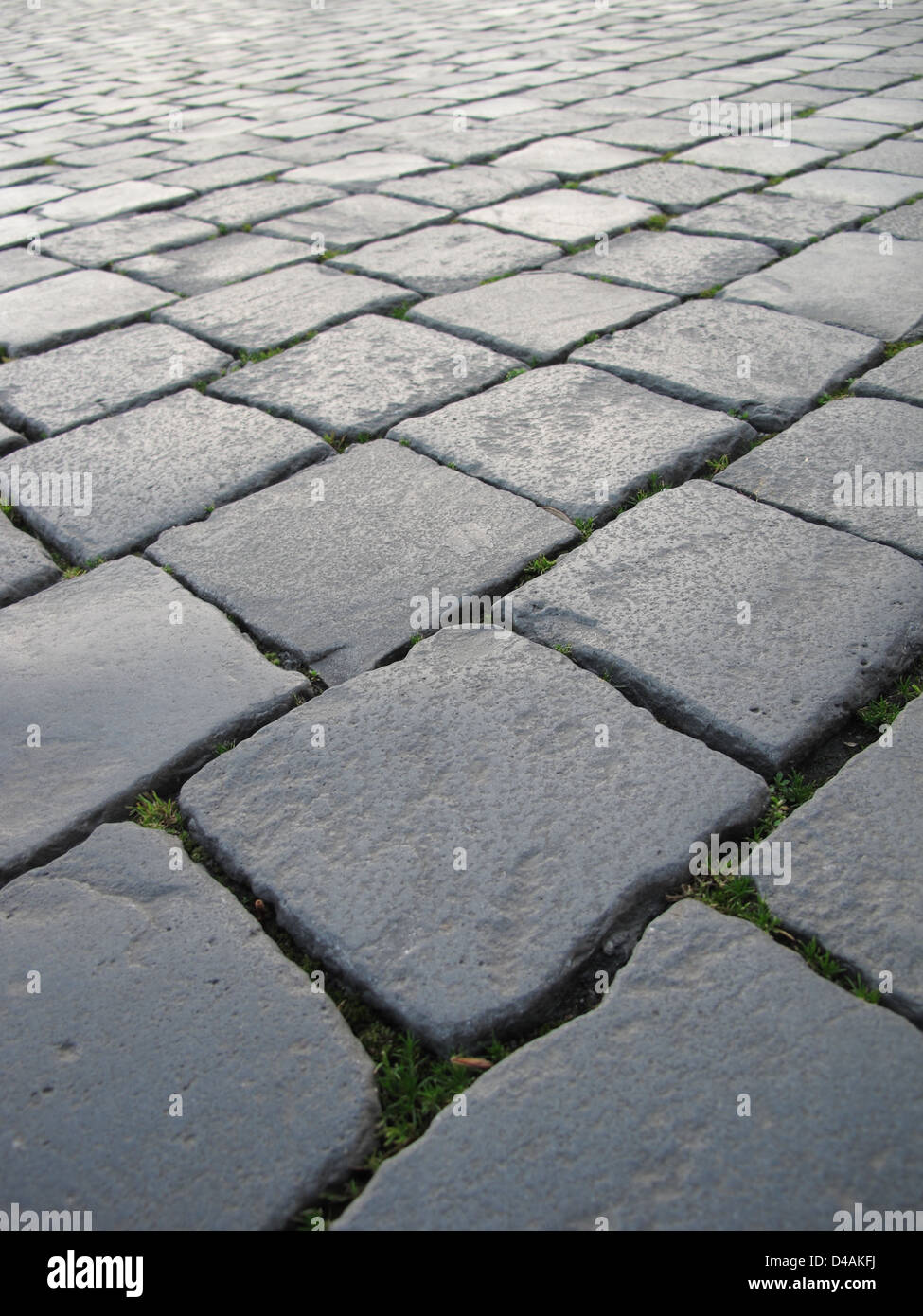 Sanpietrino is the element composing this traditional roman paved road ...