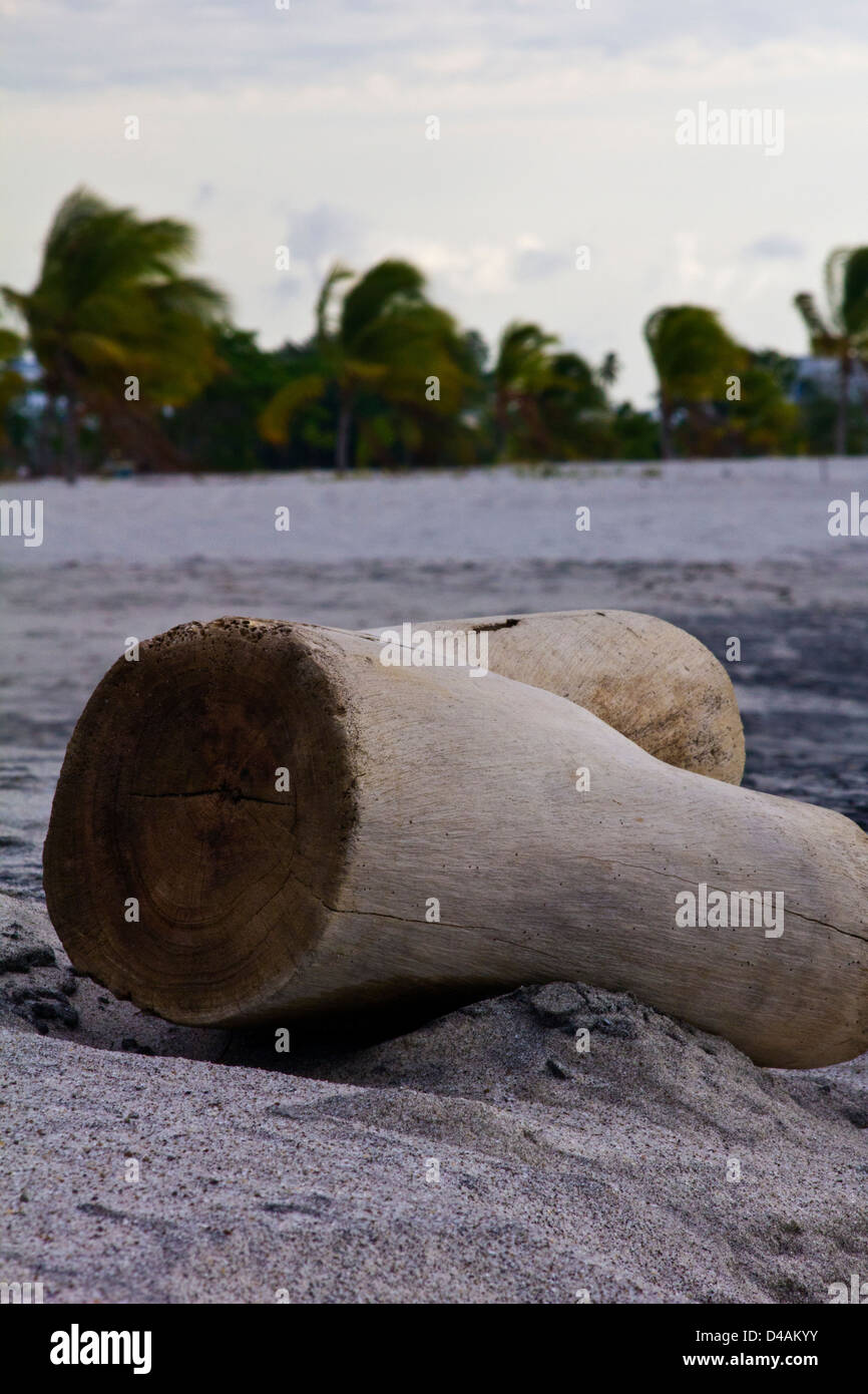 Log on the beach Stock Photo - Alamy