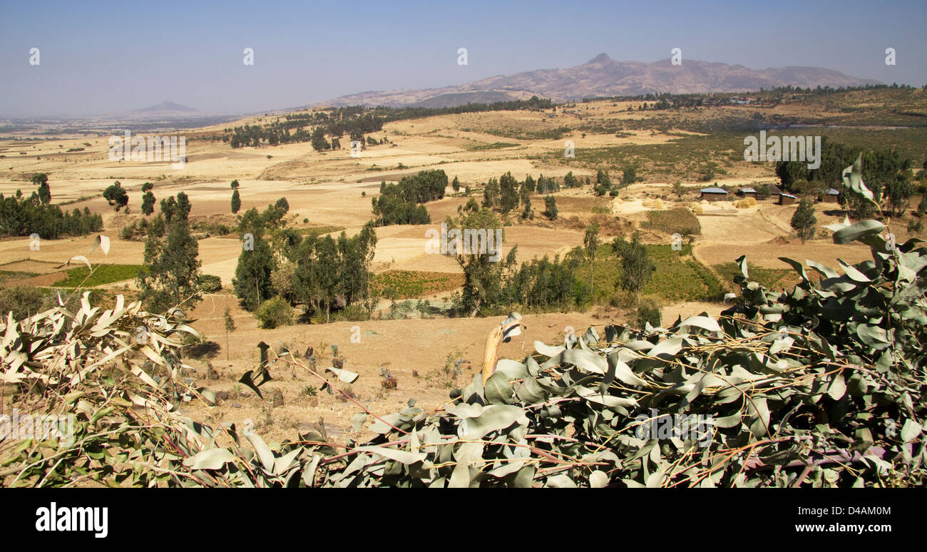 Sebeta hi-res stock photography and images - Alamy