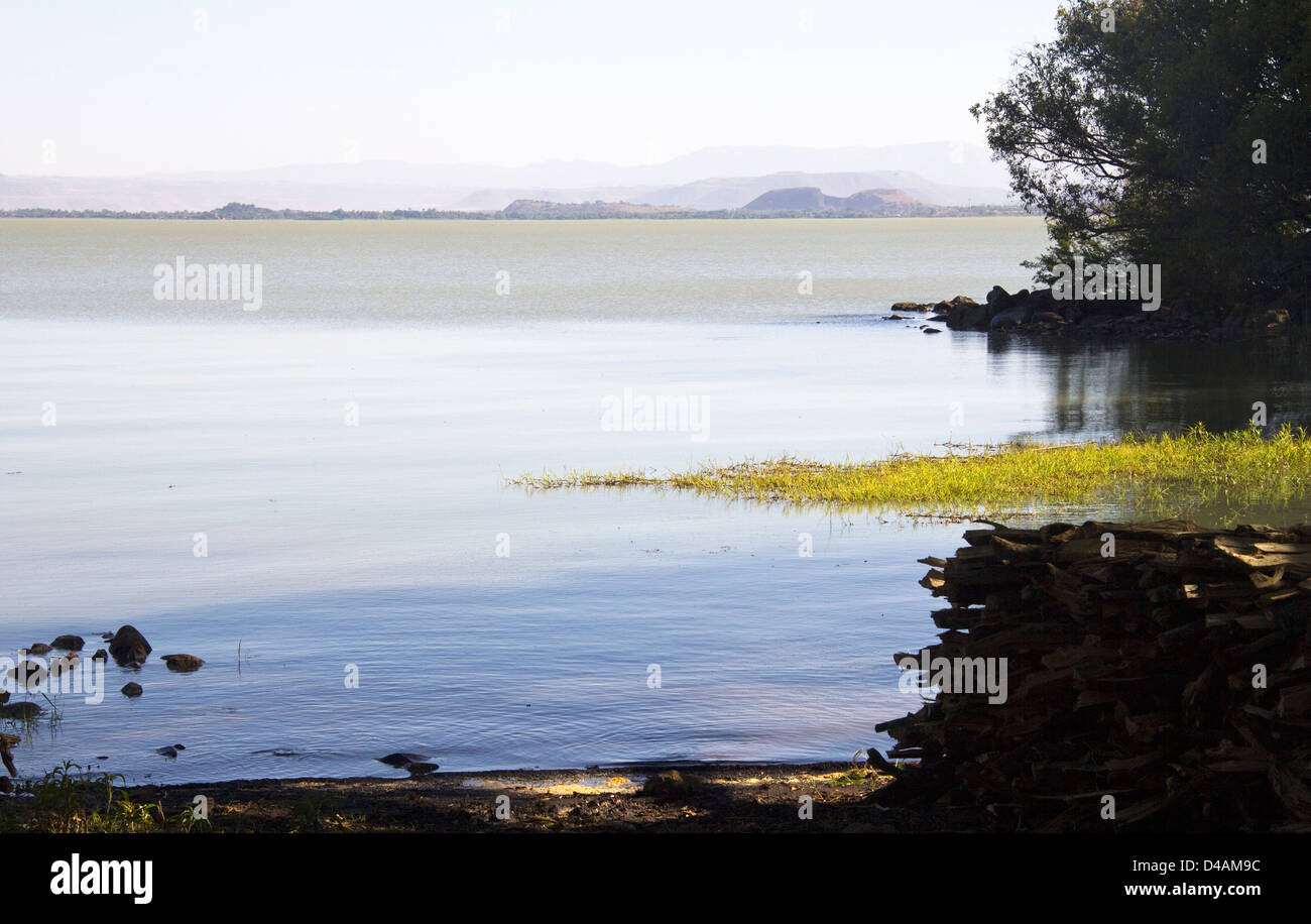 Lake Tana, Ethiopia, Africa Stock Photo - Alamy