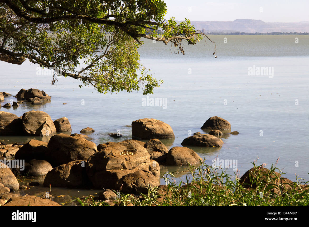 Lake Tana, Ethiopia, Africa Stock Photo - Alamy