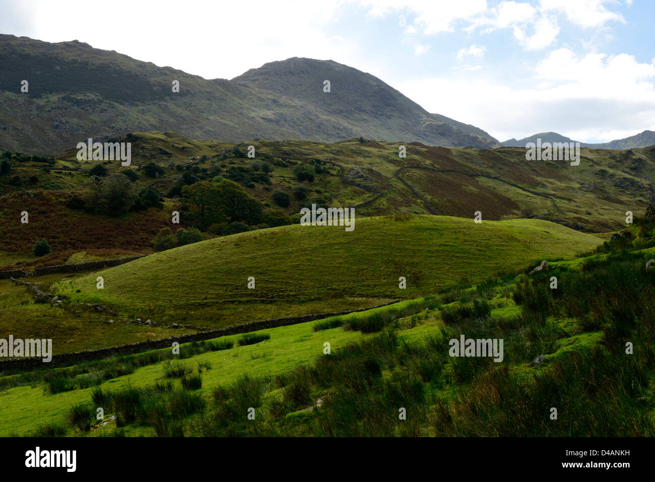 Viking moot hi-res stock photography and images - Alamy