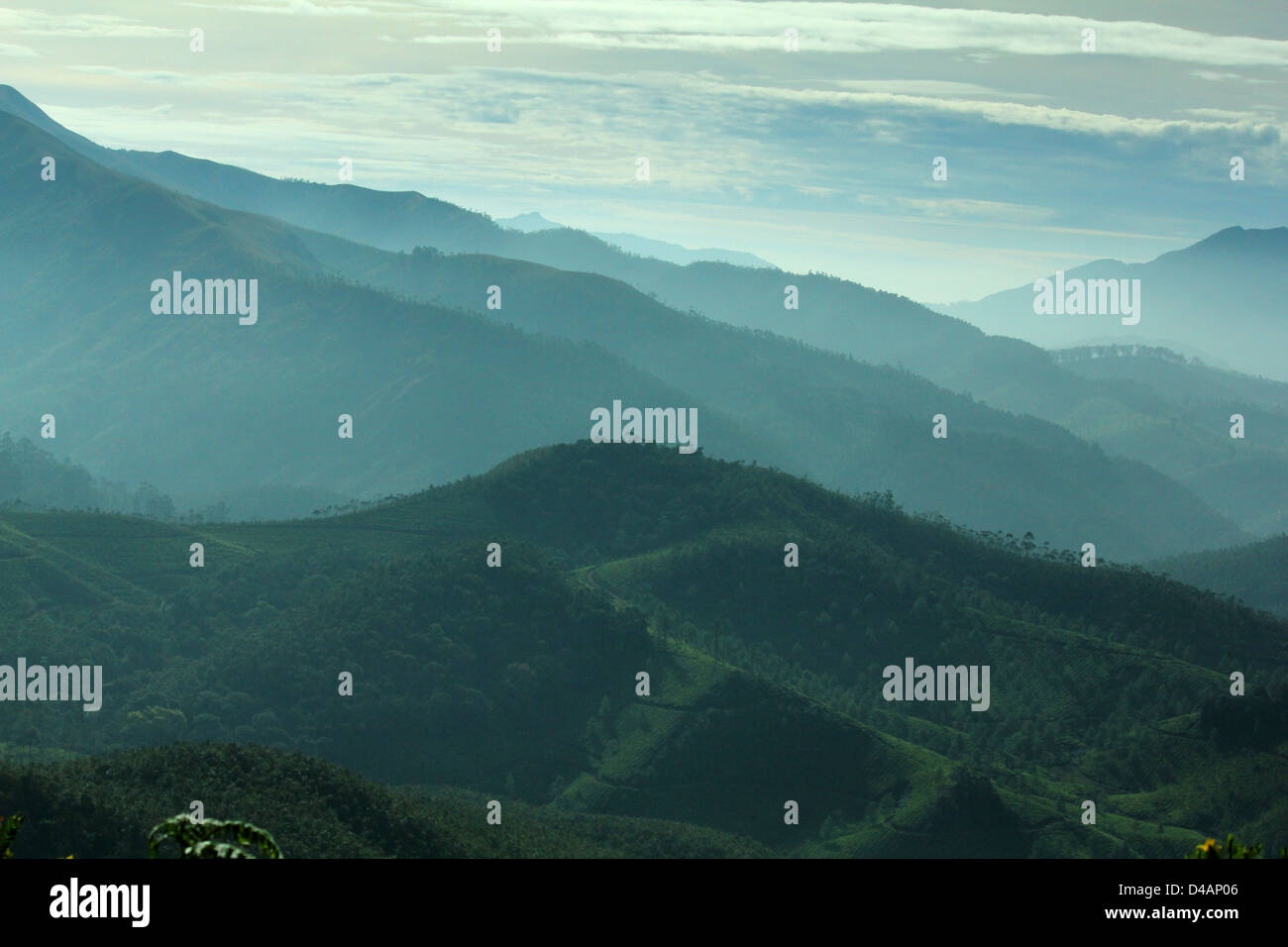 Munnar kerala hi-res stock photography and images - Alamy