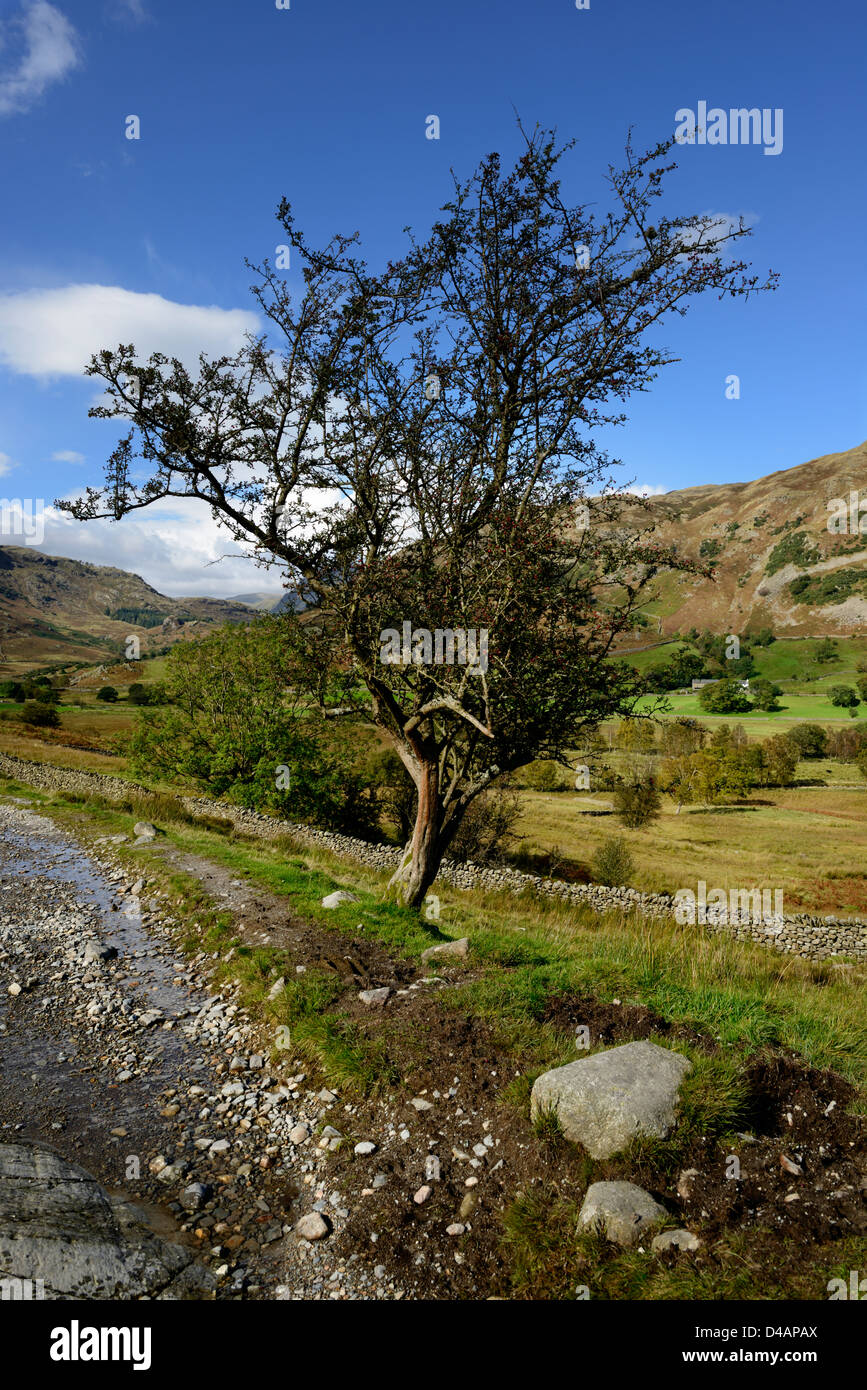 Activity hi res hi-res stock photography and images - Alamy