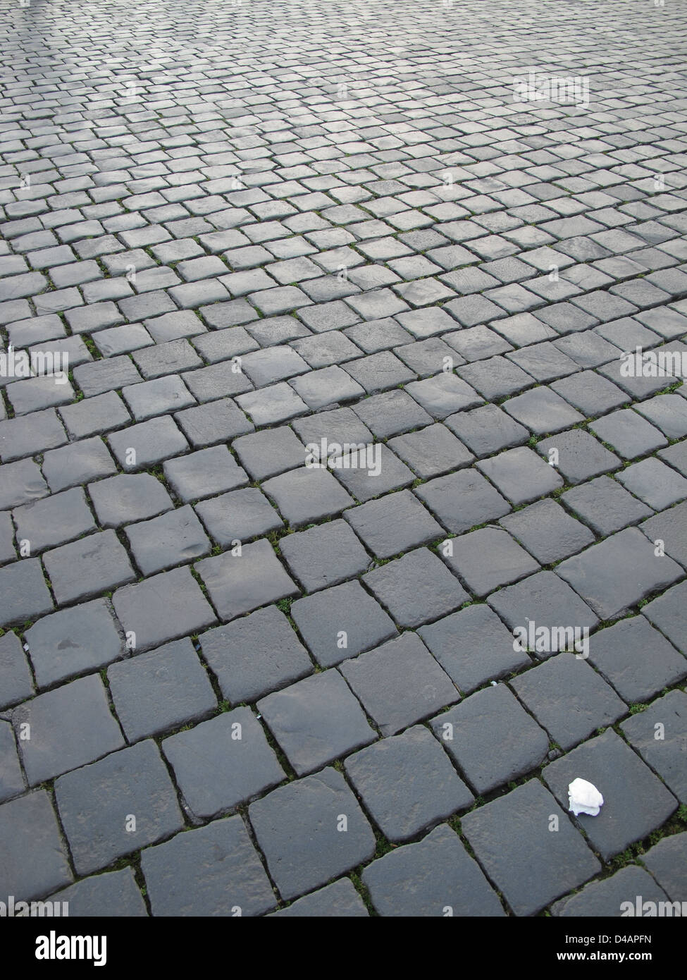 Sanpietrino is the element composing this traditional roman paved road ...