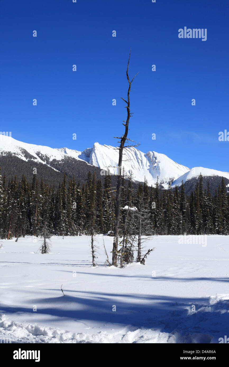 Burstall lakes hi-res stock photography and images - Alamy