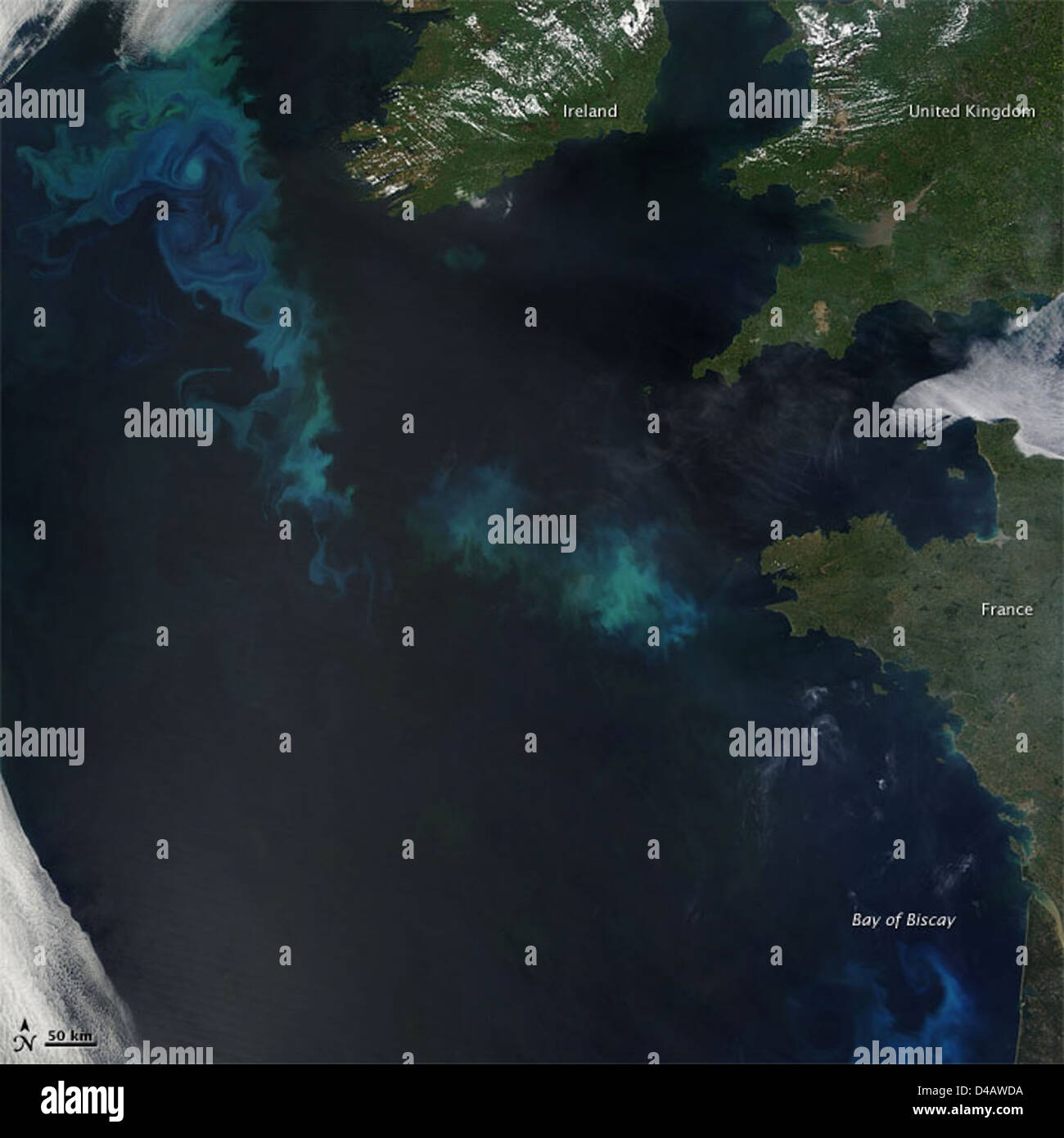 Phytoplankton bloom north atlantic hi-res stock photography and images ...