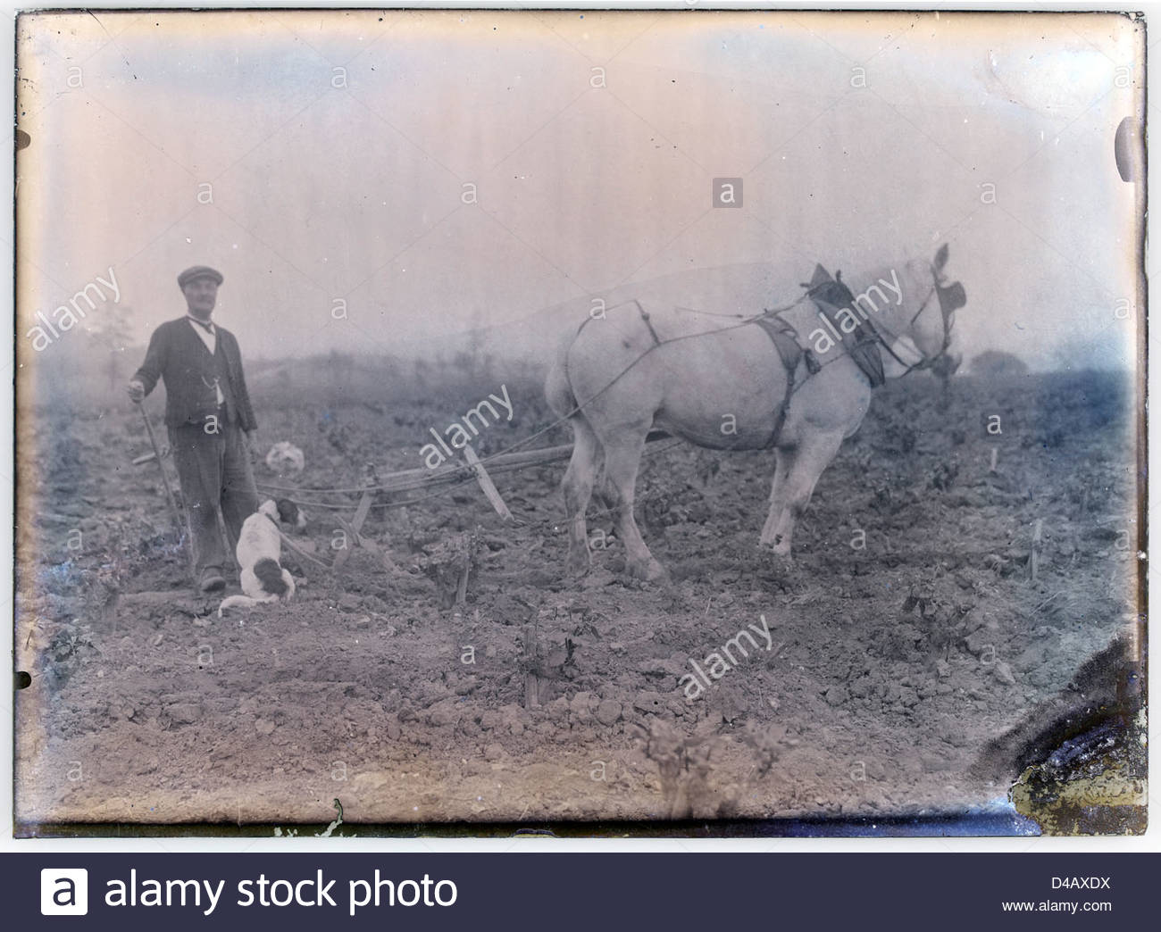 Farmer 1900s Stock Photos & Farmer 1900s Stock Images - Alamy