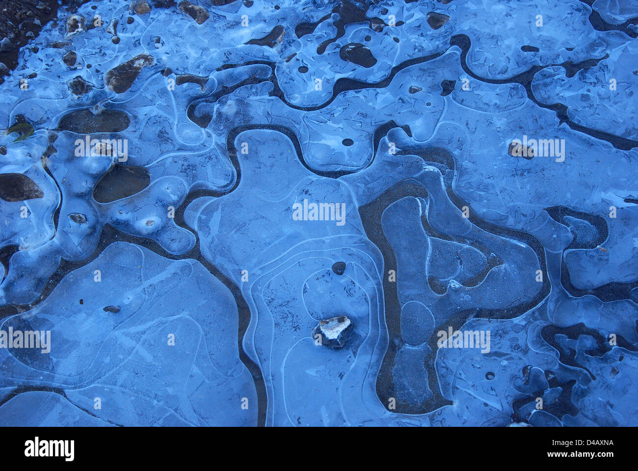 Ice Puddles uk Stock Photo - Alamy