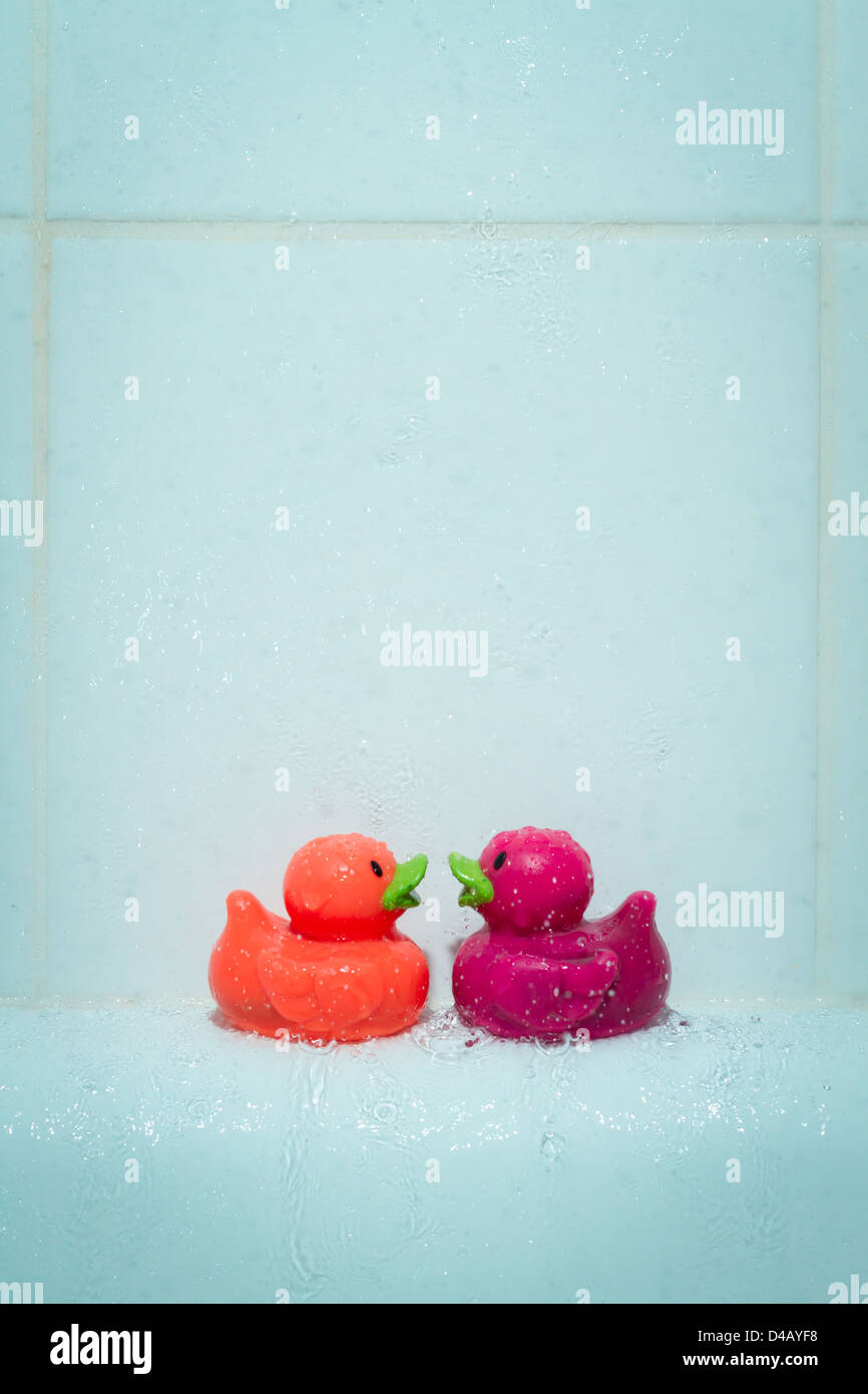 Two rubber ducks Stock Photo - Alamy