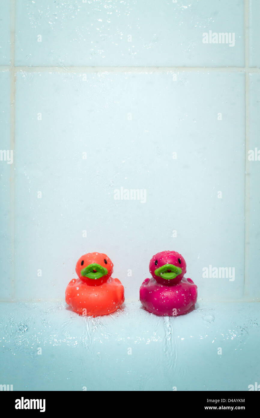 Two rubber ducks Stock Photo - Alamy