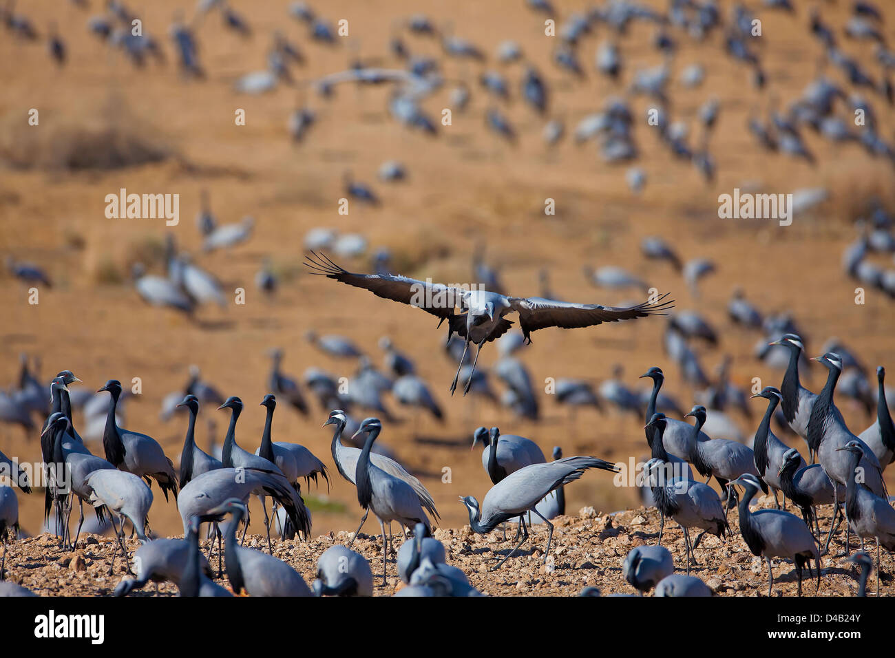 Taking Off - Activity Stock Photo - Alamy