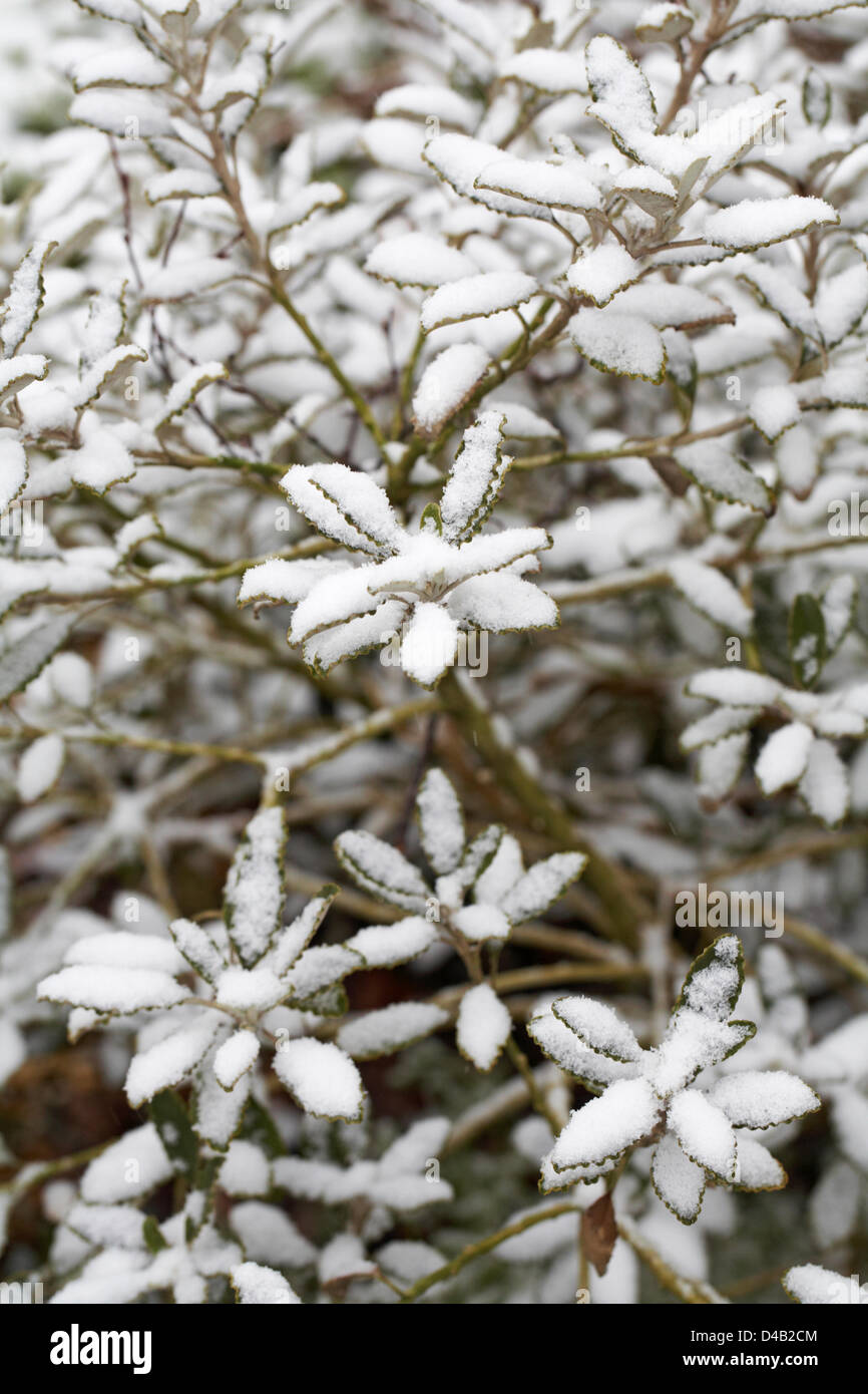 Snowing in bournemouth hi-res stock photography and images - Alamy