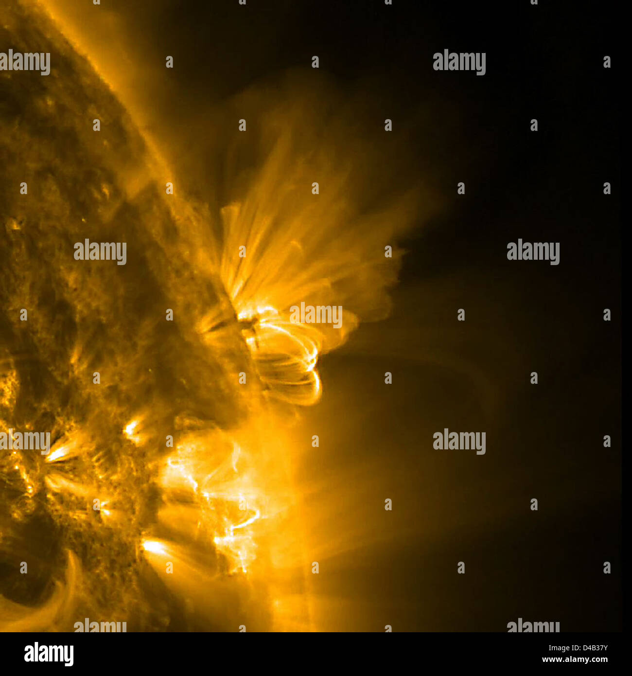 NASA's Solar Dynamics Observatory (SDO) captures an image of a tangled, active region on the Sun ...