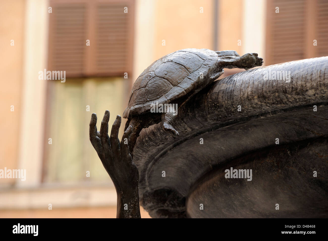 Turtle closeups hi-res stock photography and images - Alamy