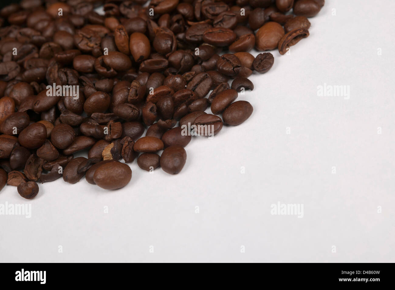 close - up photo of coffee beans isolated on a white background Stock ...
