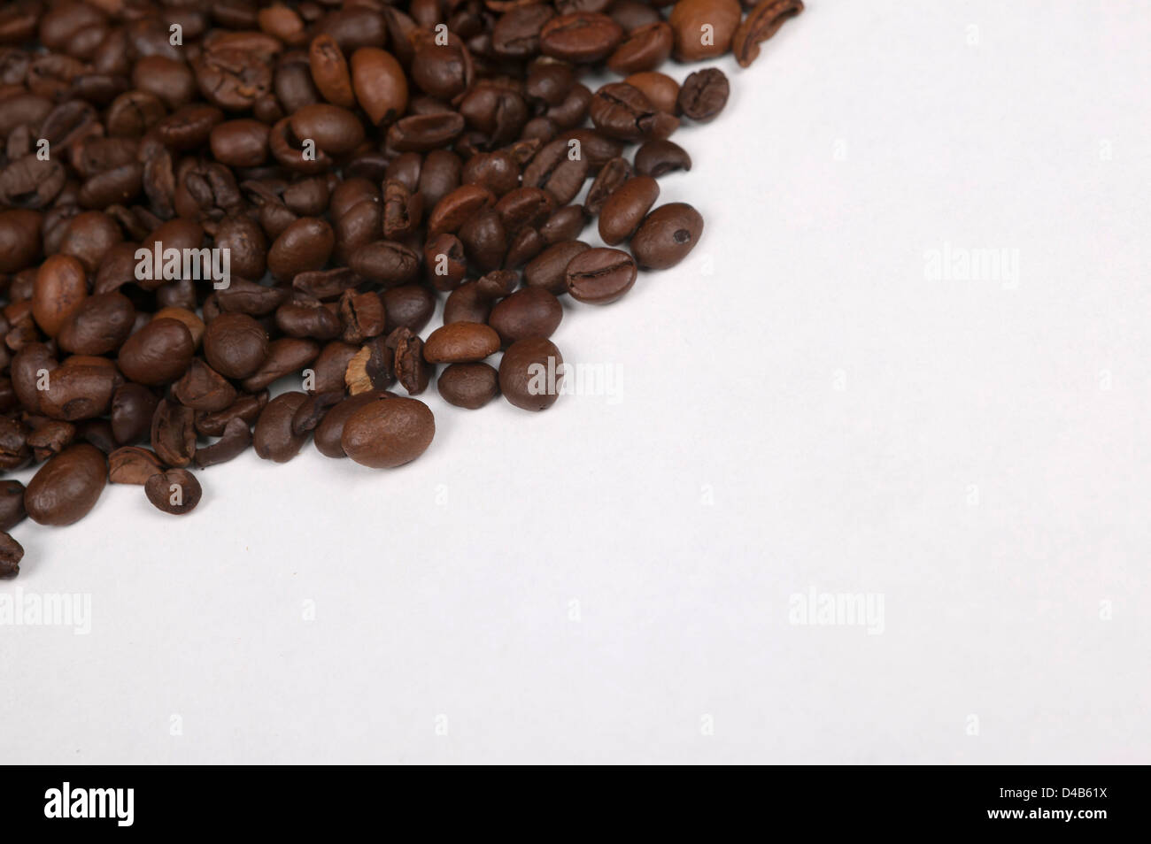 close - up photo of coffee beans isolated on a white background Stock ...