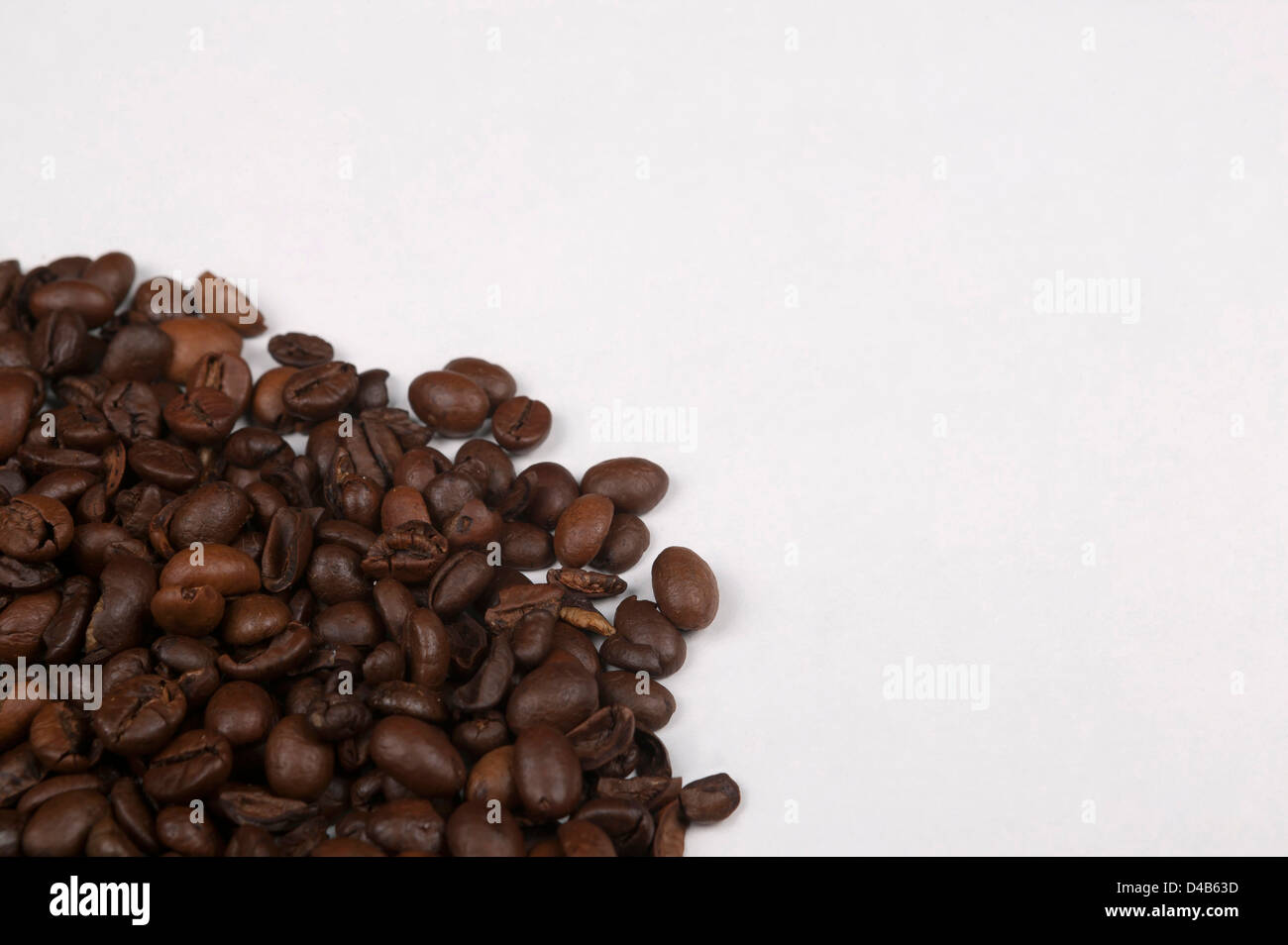 close - up photo of coffee beans isolated on a white background Stock ...