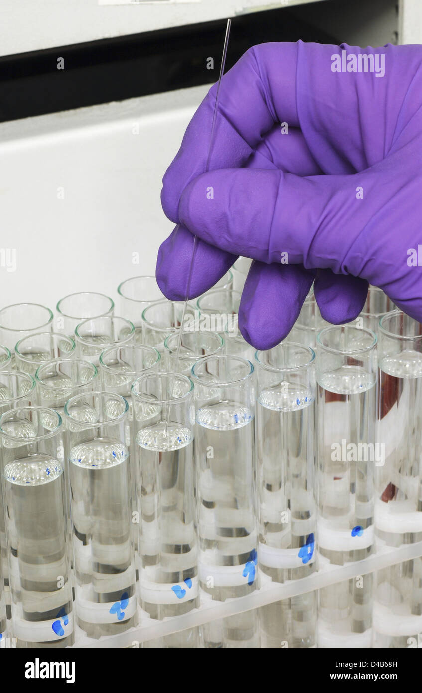 Test tube sampling Stock Photo - Alamy