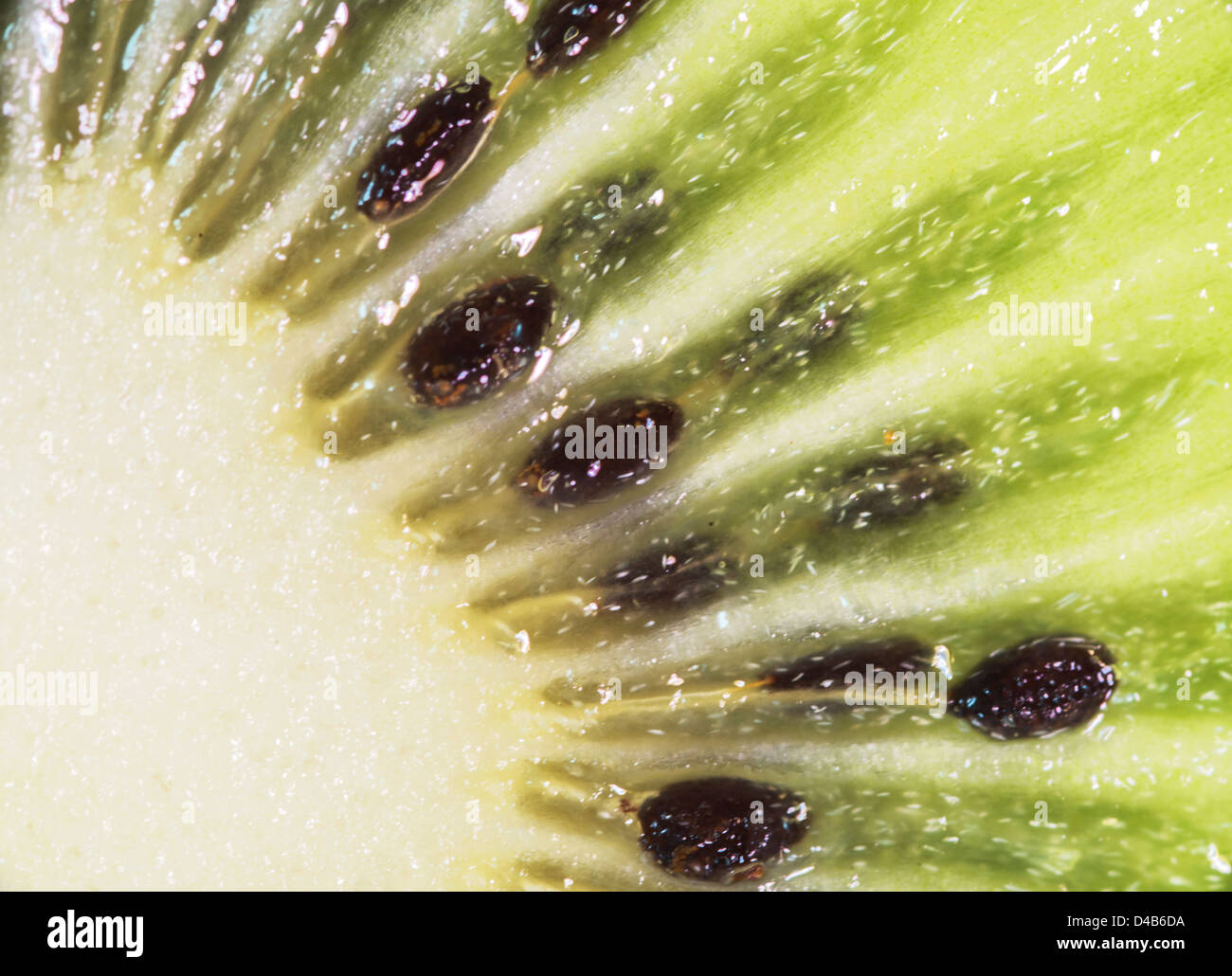 macro of seeds from the kiwi inside Stock Photo - Alamy
