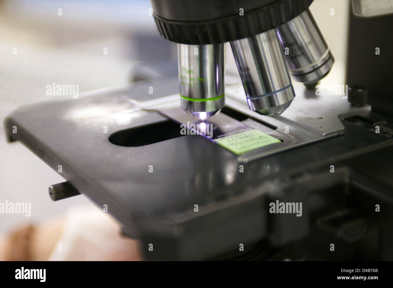 Close-up of slide under microscope Stock Photo - Alamy