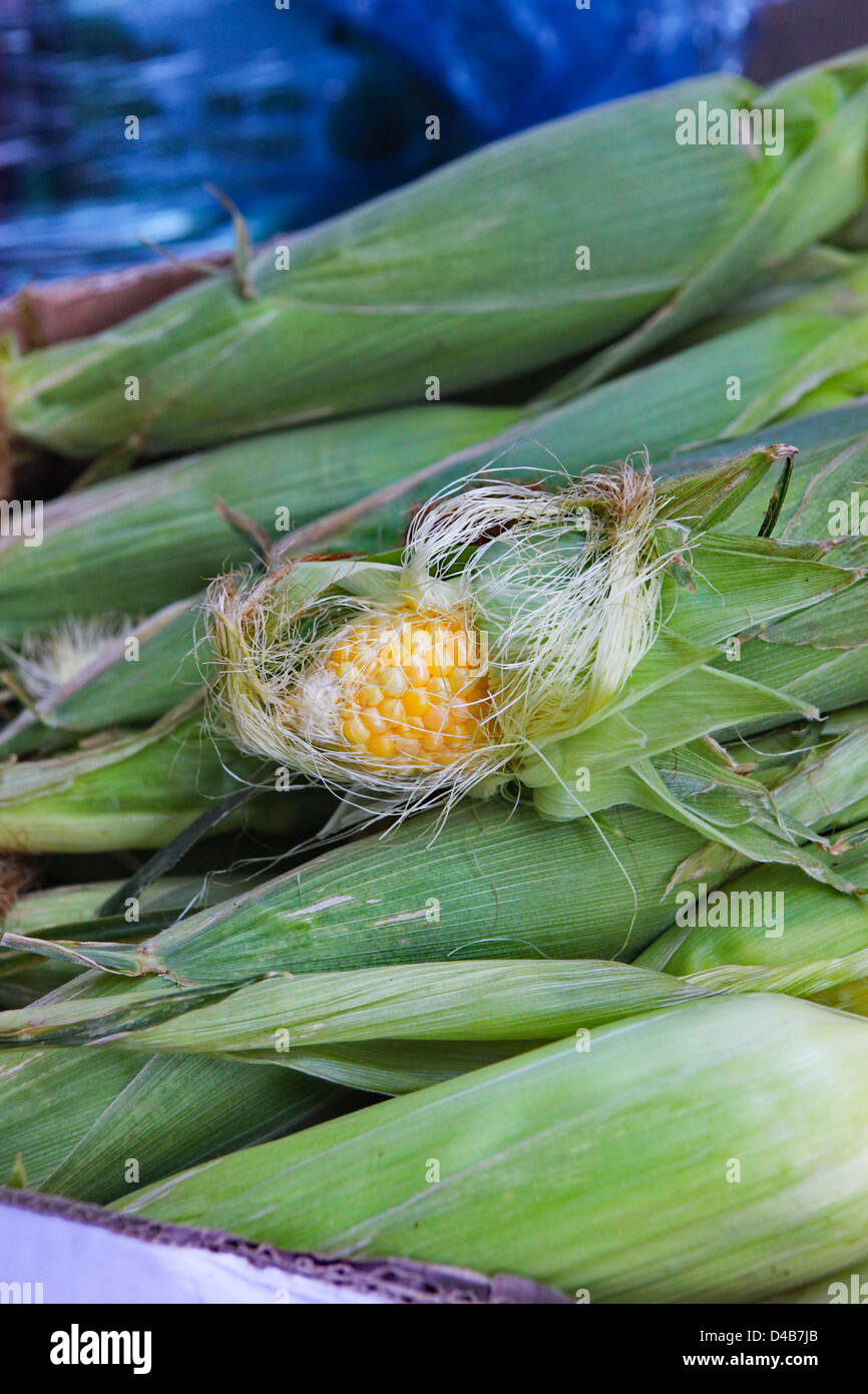 Stall selling fresh corn on the cob Photographed at the Carmel Market ...