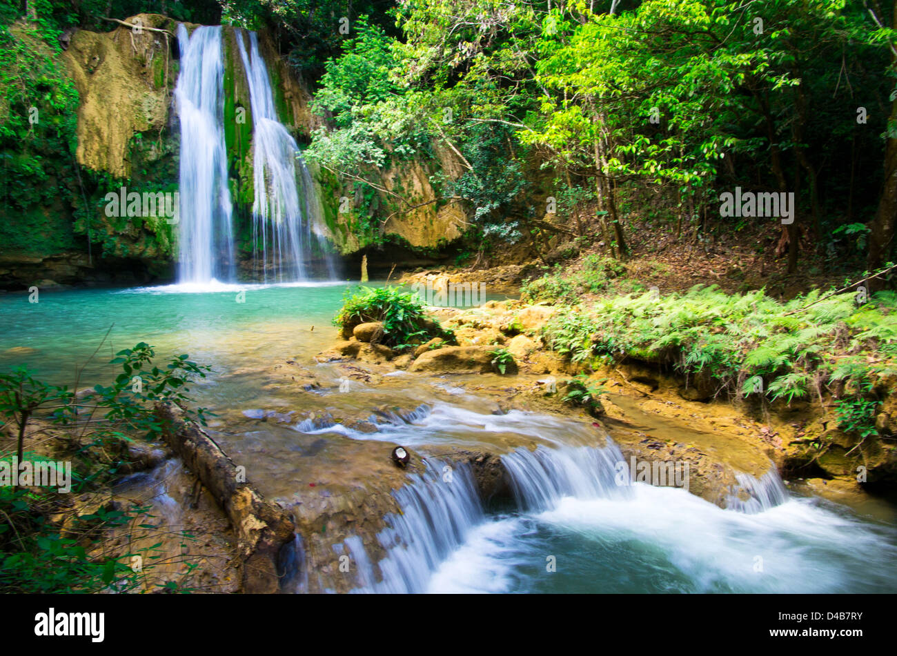 Waterfall green forest river hi-res stock photography and images - Alamy