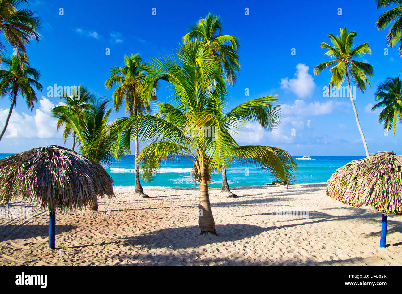 Tropical beach with sea wave on the sand and palm trees Stock Photo - Alamy