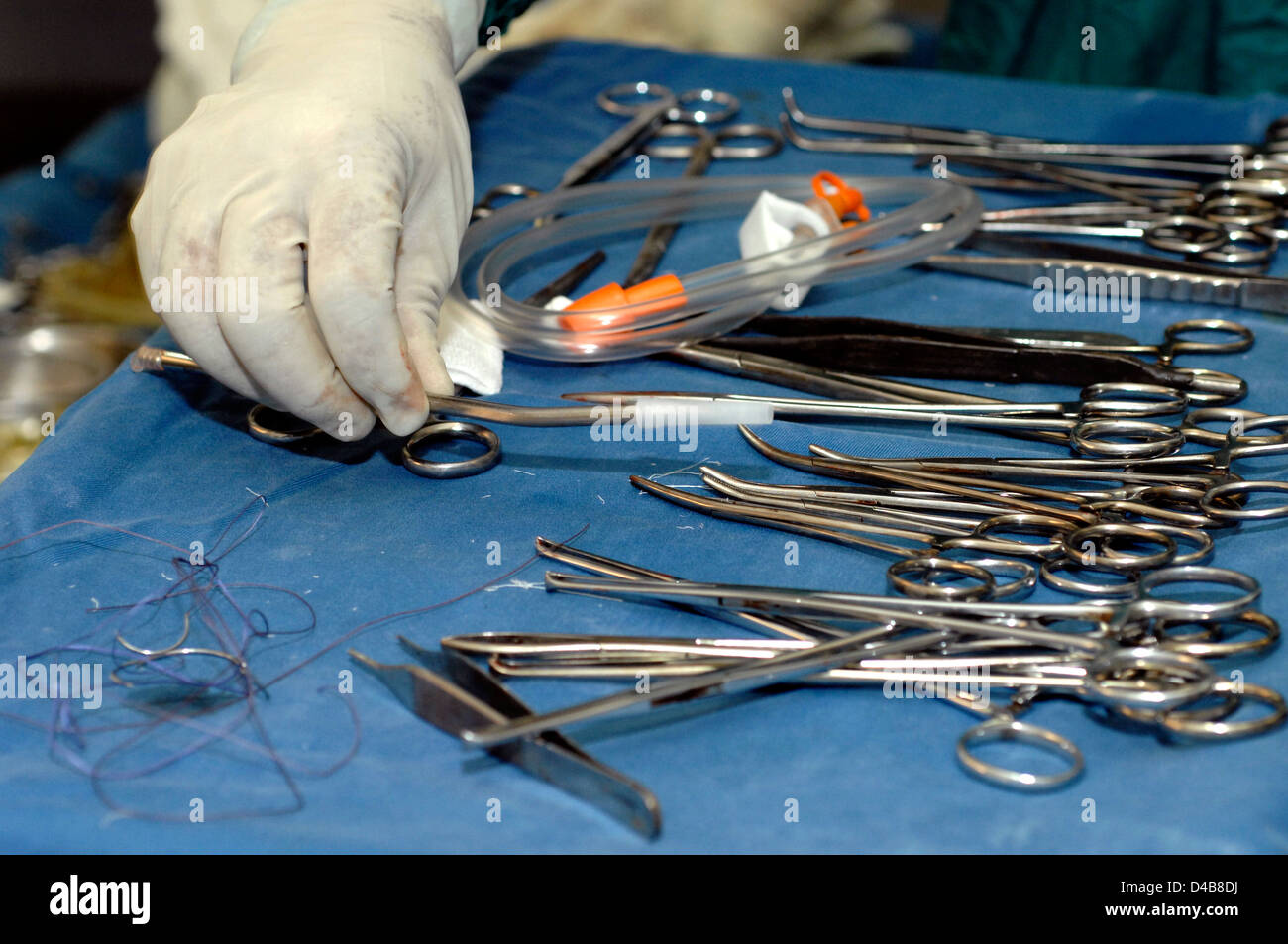 A surgeon picks up surgical equipment from surgical table. Sudan ...