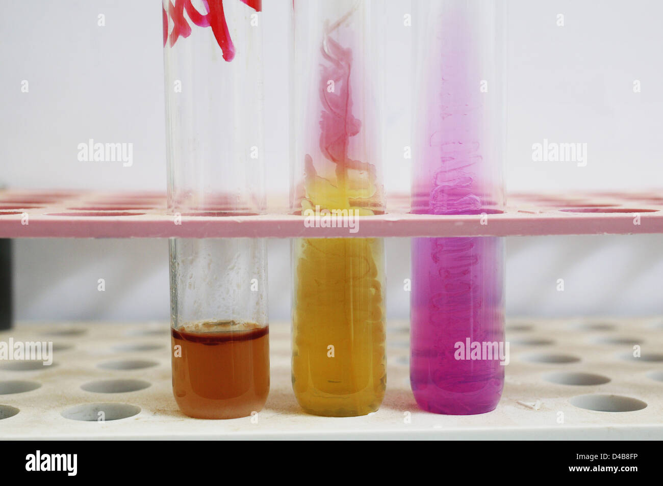 Test tubes in test tube rack Stock Photo - Alamy
