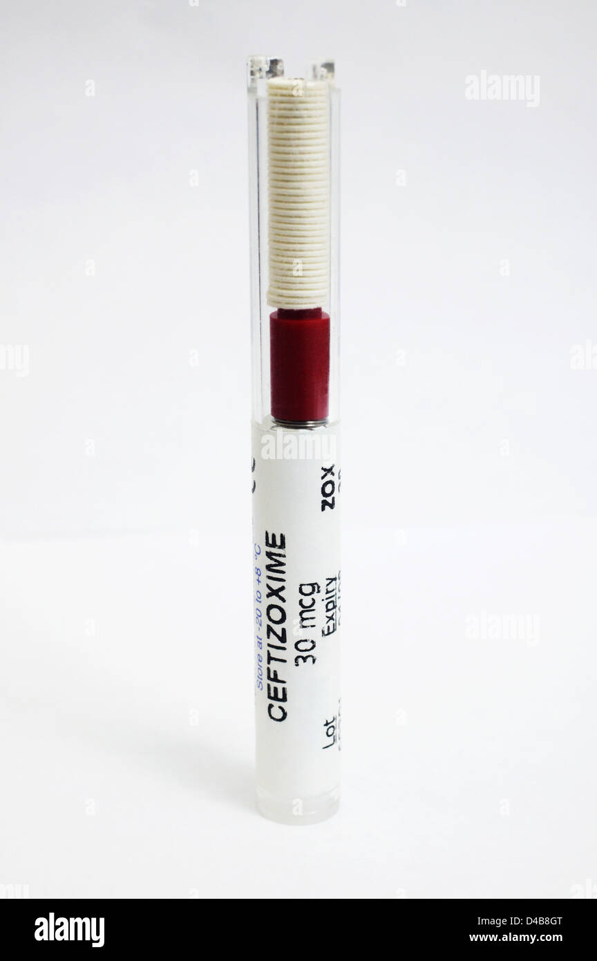 Ceftizoxime used in treatment infections caused susceptible strains ...