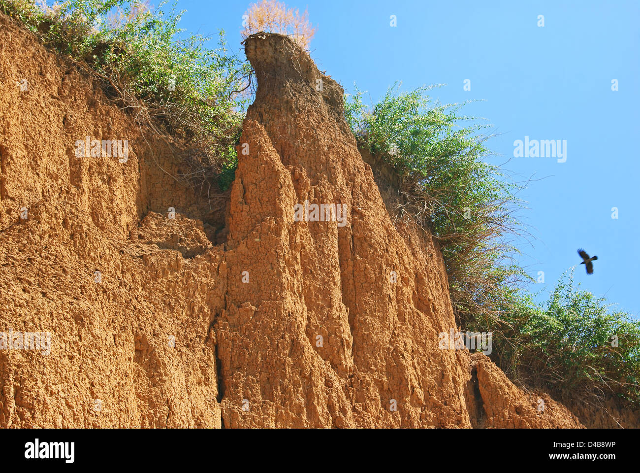 Ground denudation hi-res stock photography and images - Alamy