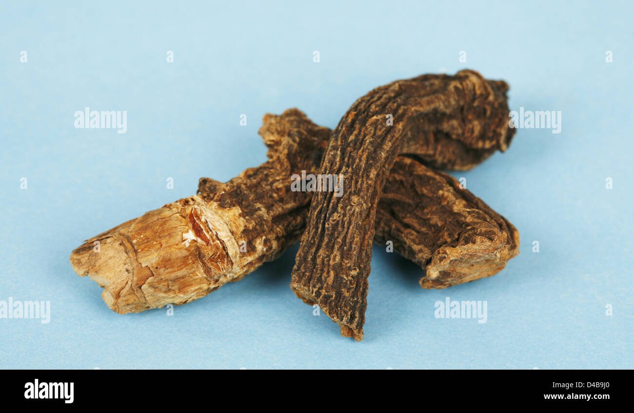 Gentian root has long history use as herbal bitter in treatment ...
