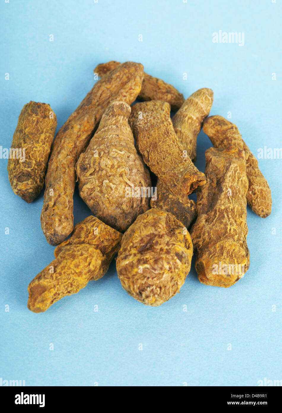 Turmeric contains curcumin has been used thousands years in India as ...