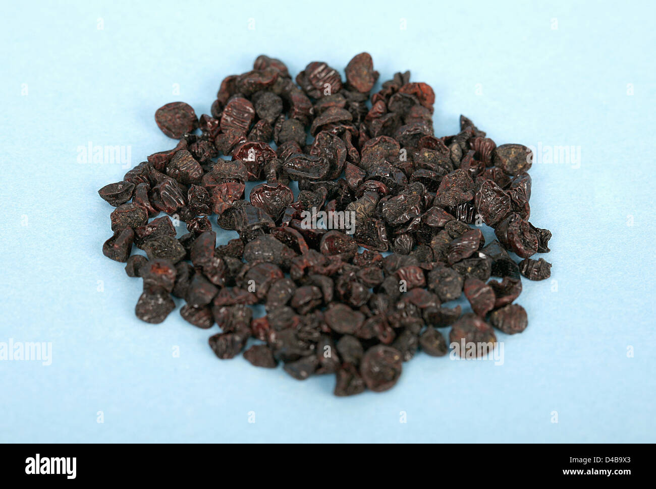 Cochineal industry hi-res stock photography and images - Alamy