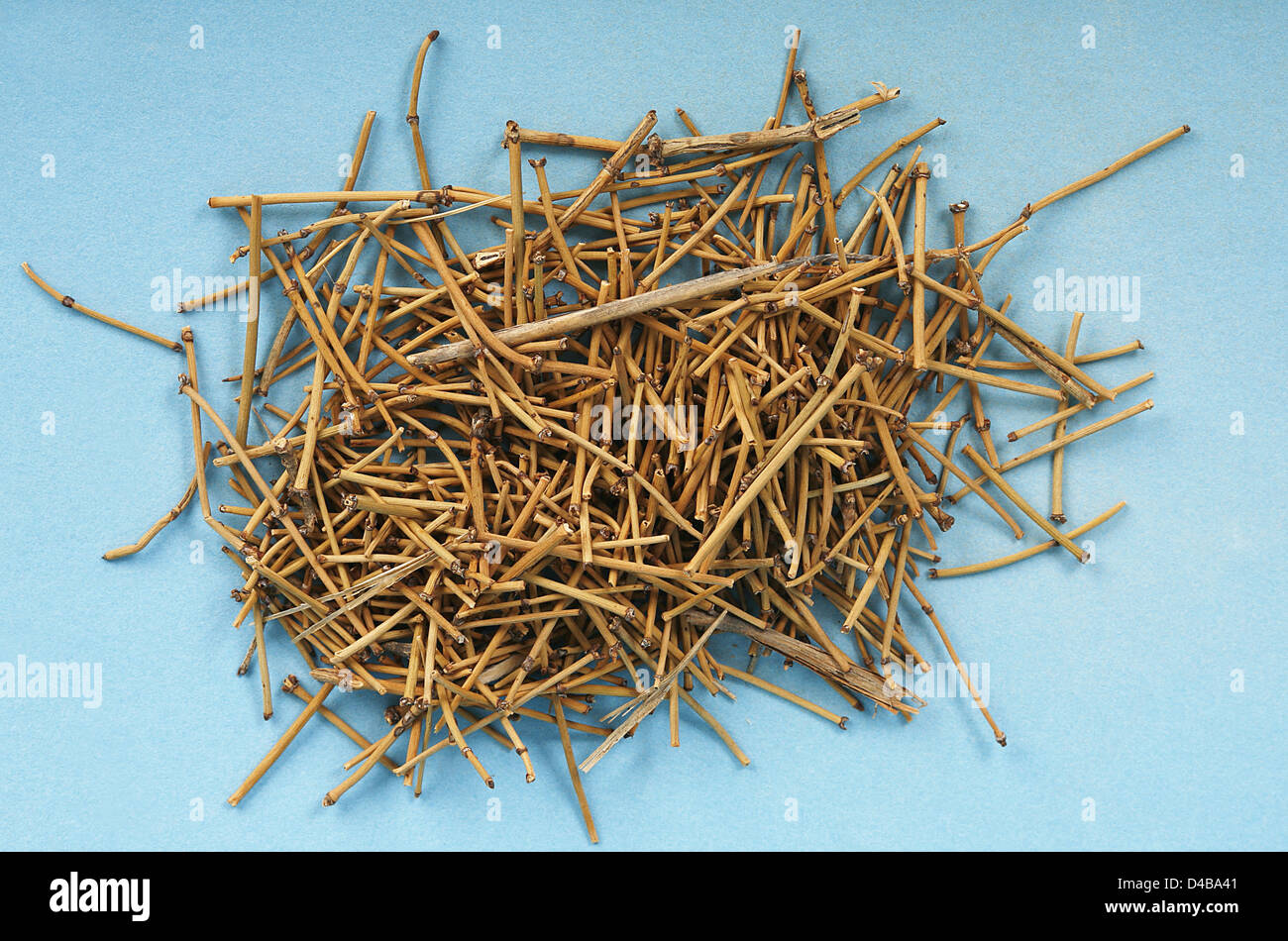 Ma Huang Dried Stems