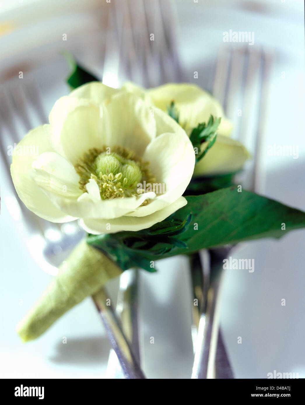 bunch of flowers Stock Photo - Alamy