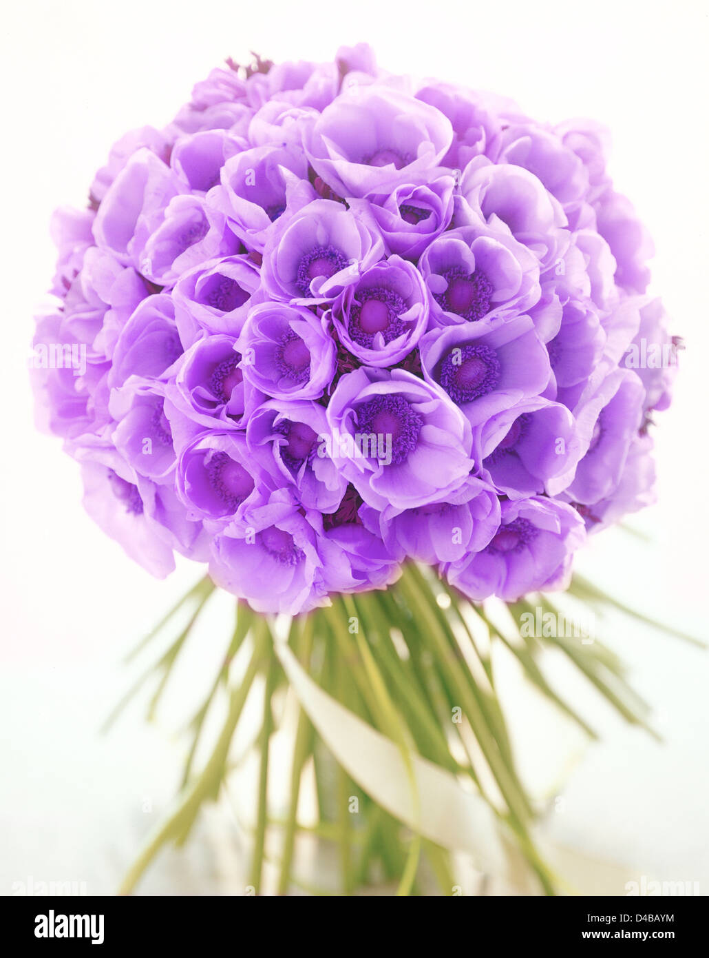 bunch of flowers Stock Photo - Alamy