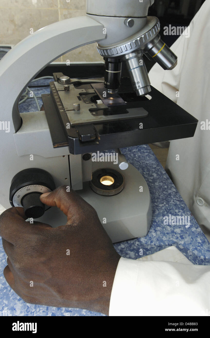Laboratory technician looking through at slide sample through ...