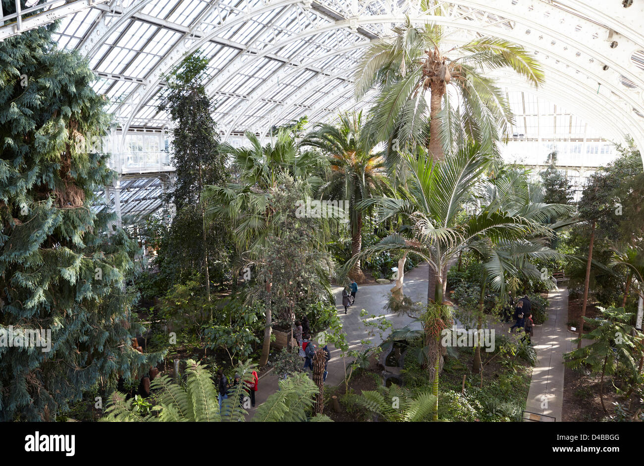 Palm house Kew Gardens Stock Photo - Alamy