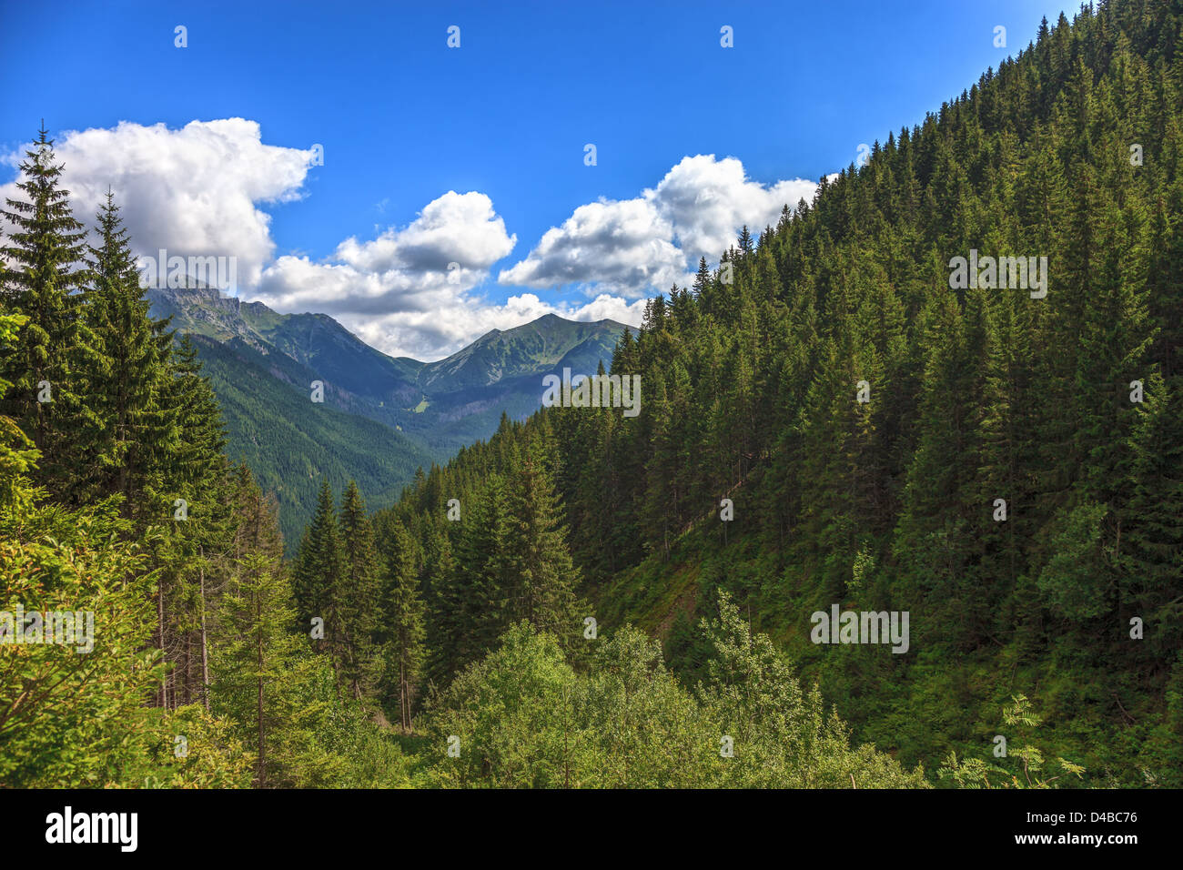 Poland landscape hi-res stock photography and images - Alamy