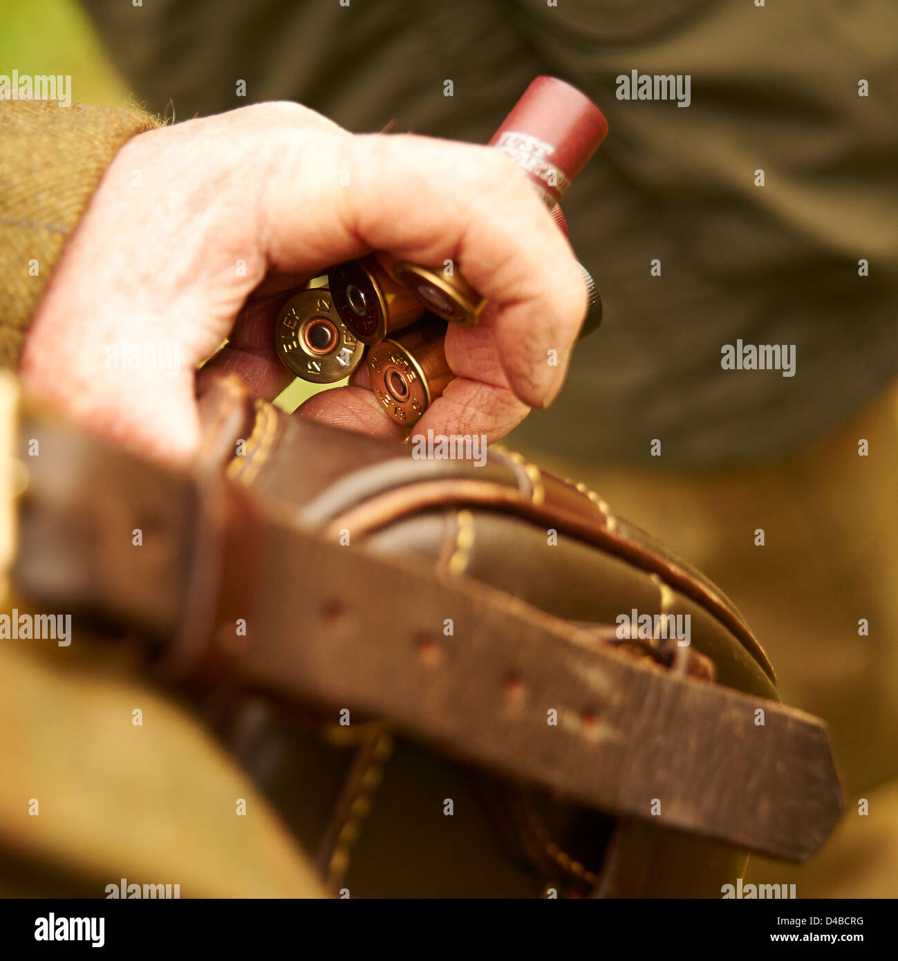 12 bore cartridges hi-res stock photography and images - Alamy