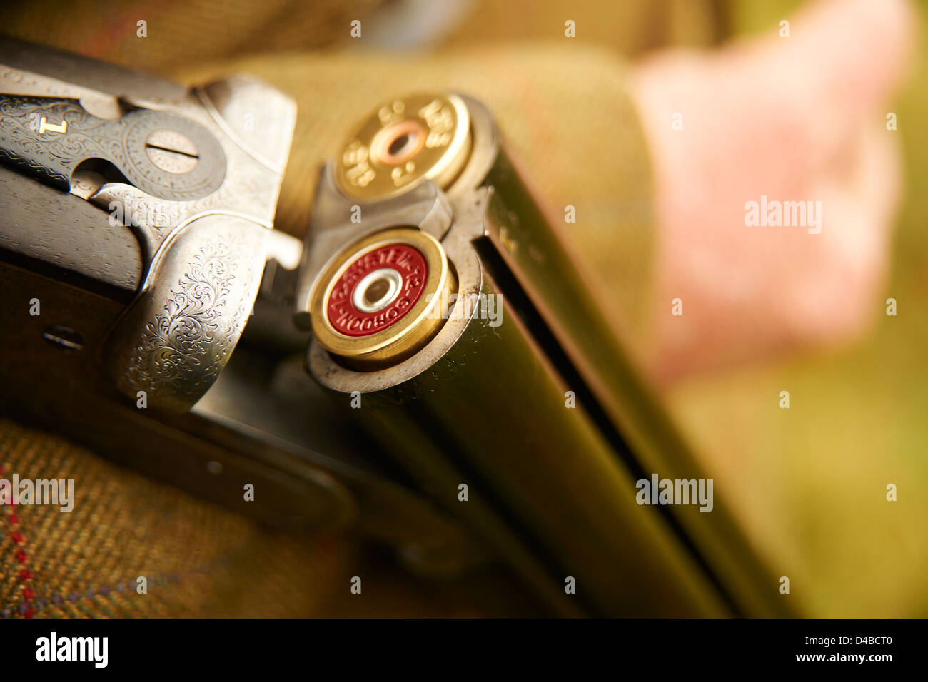 loaded 12 bore shotgun Stock Photo - Alamy