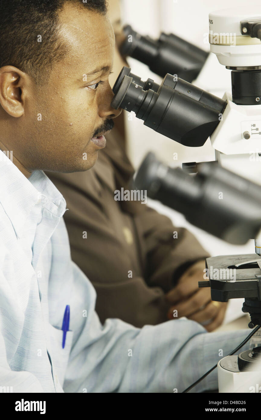 Pathologist looking through microscope at cytology slides Stock Photo ...